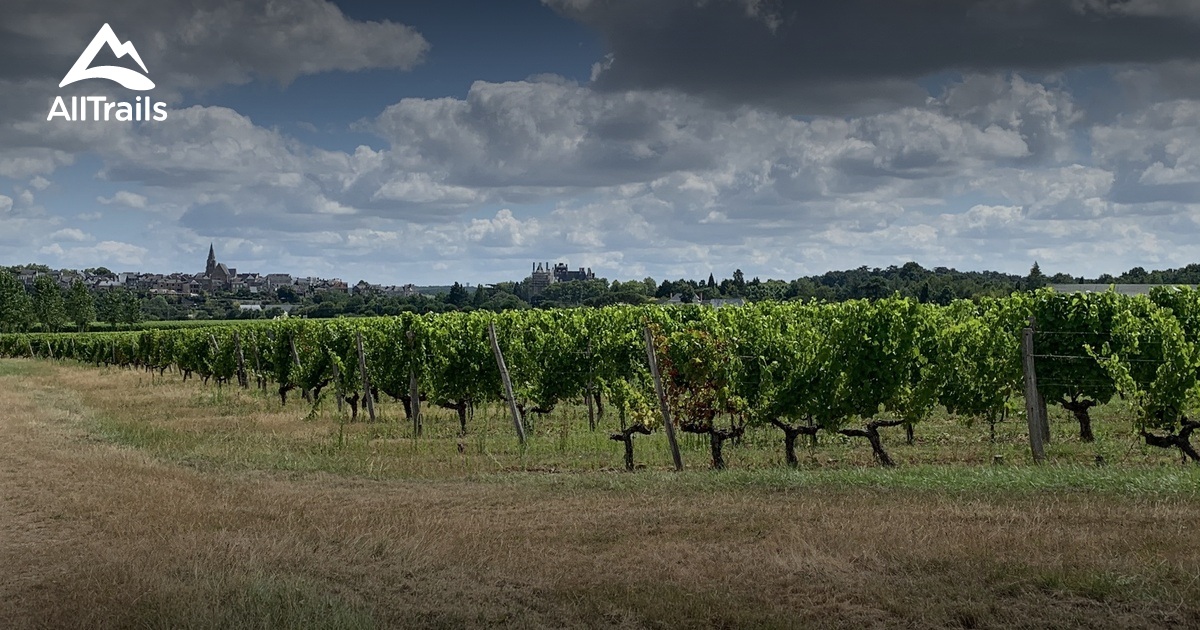 Best hikes and trails in Forêt de Beaulieu | AllTrails