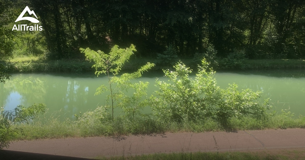 Best hikes and trails in Forêt de Brumath et de Grittwald | AllTrails