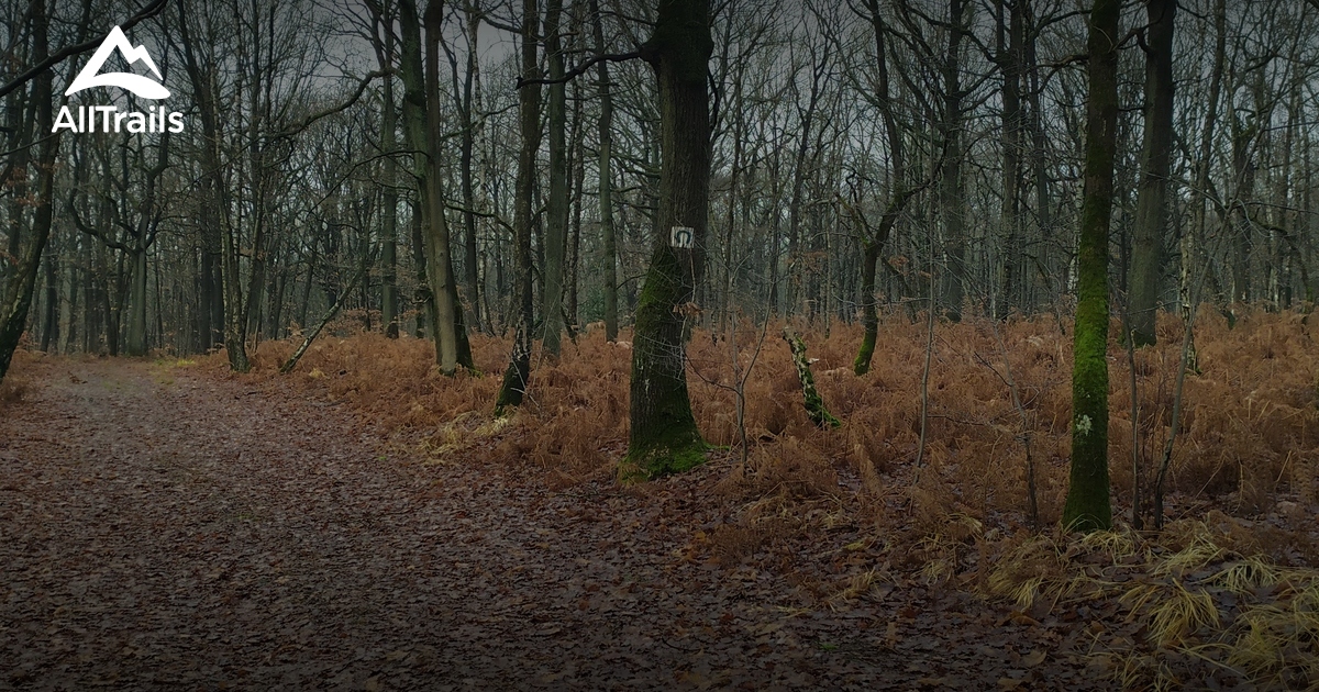 Forêt de L'Isle-Adam : les meilleurs itinéraires avec un lac | AllTrails
