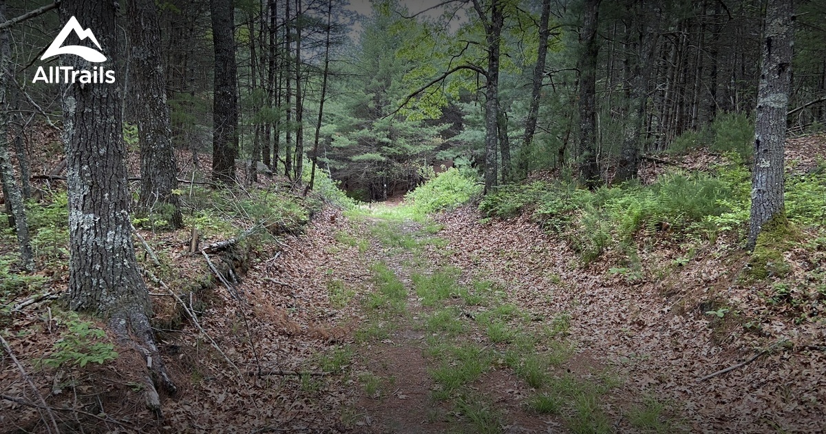 Best hikes and trails in Cole Property | AllTrails
