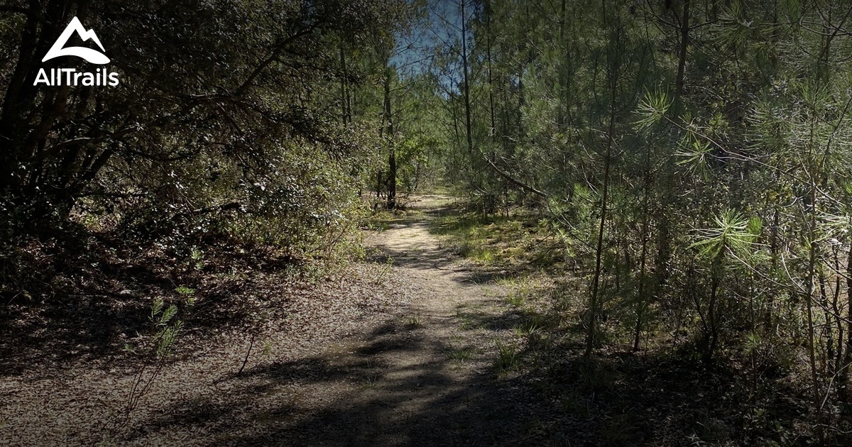 Best long trails in Forêt domaniale des Saumonards | AllTrails