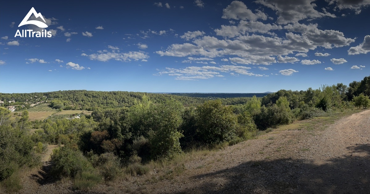 Best hikes and trails in Massif forestier de Baillarguet | AllTrails