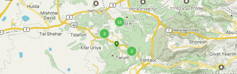 Best Hikes and Trails in Eshtaol Forest | AllTrails
