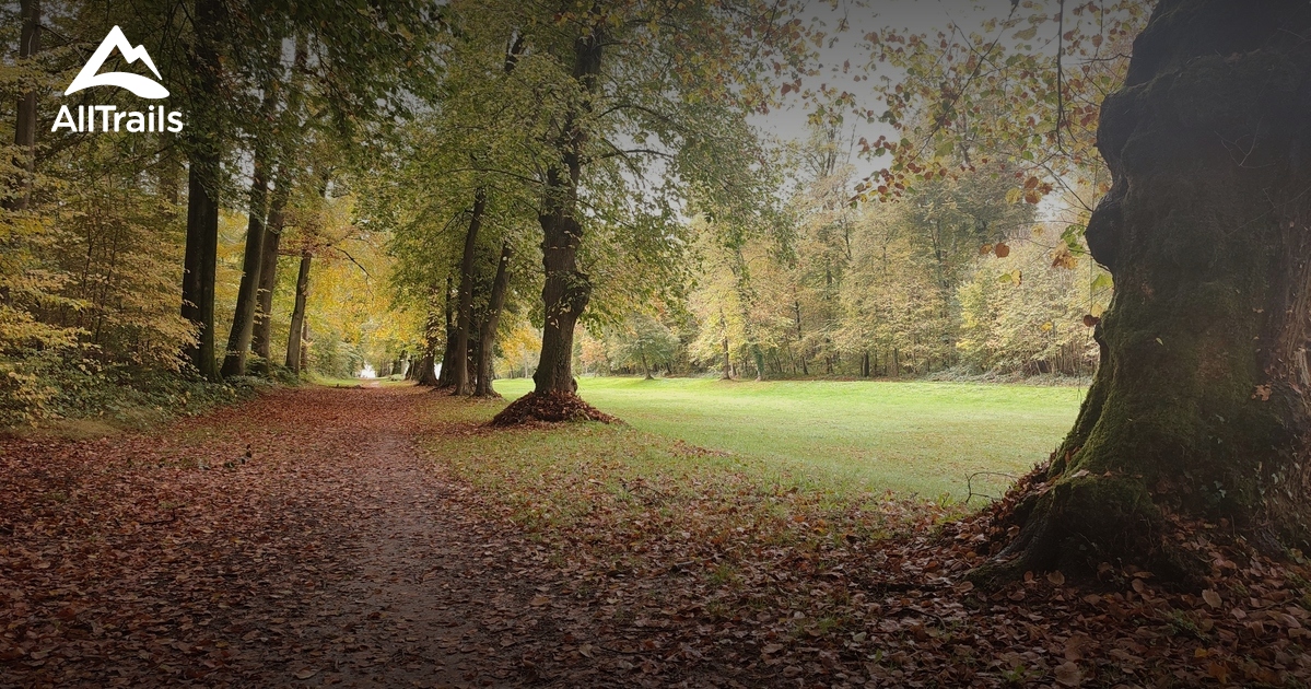 Bästa svåra lederna i Forêt de Retz | AllTrails