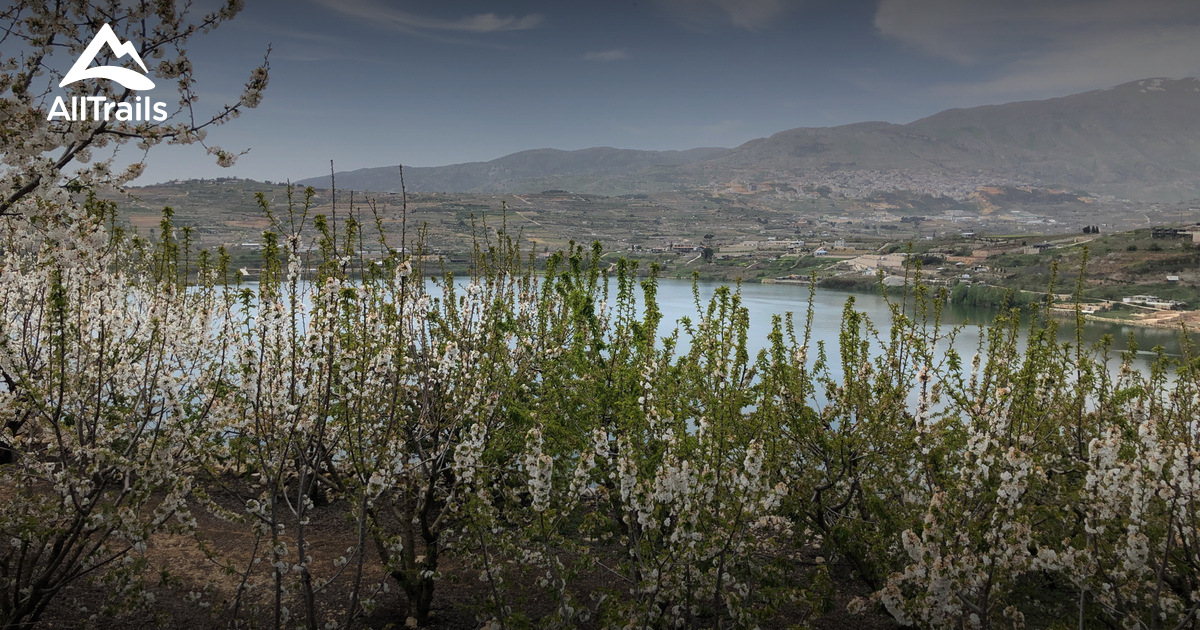 Best hikes and trails in Odem Forest | AllTrails