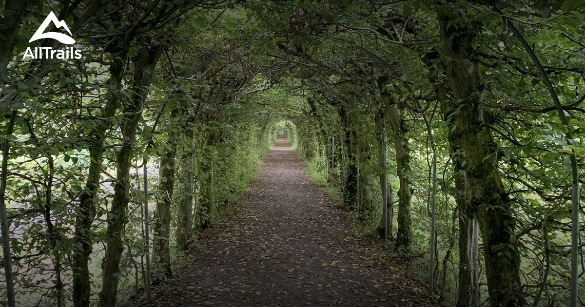 Best hikes and trails in Bois de la Porallée | AllTrails