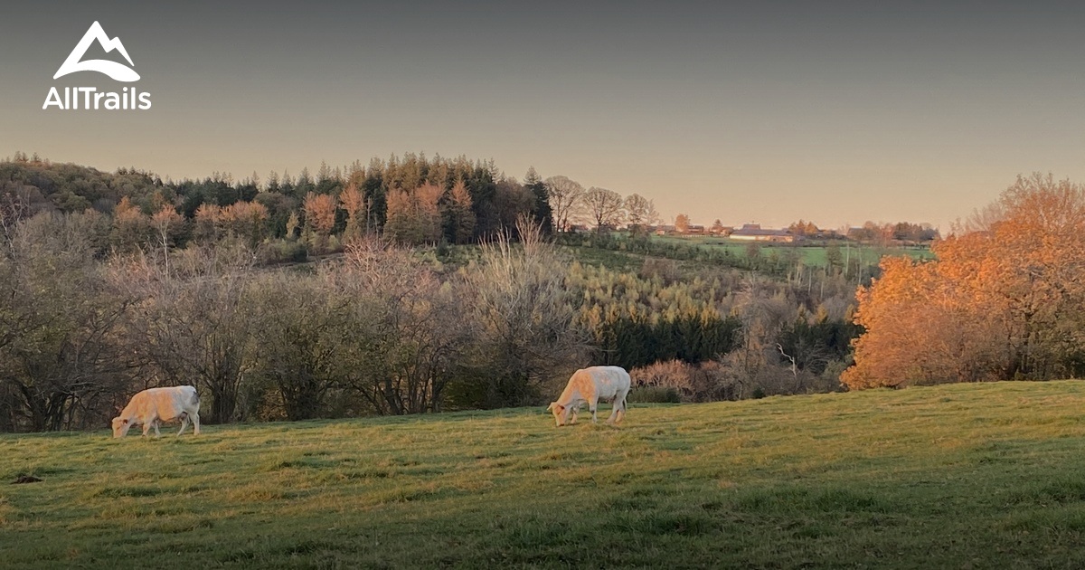 Best hikes and trails in Forêt domaniale de Gospinal | AllTrails