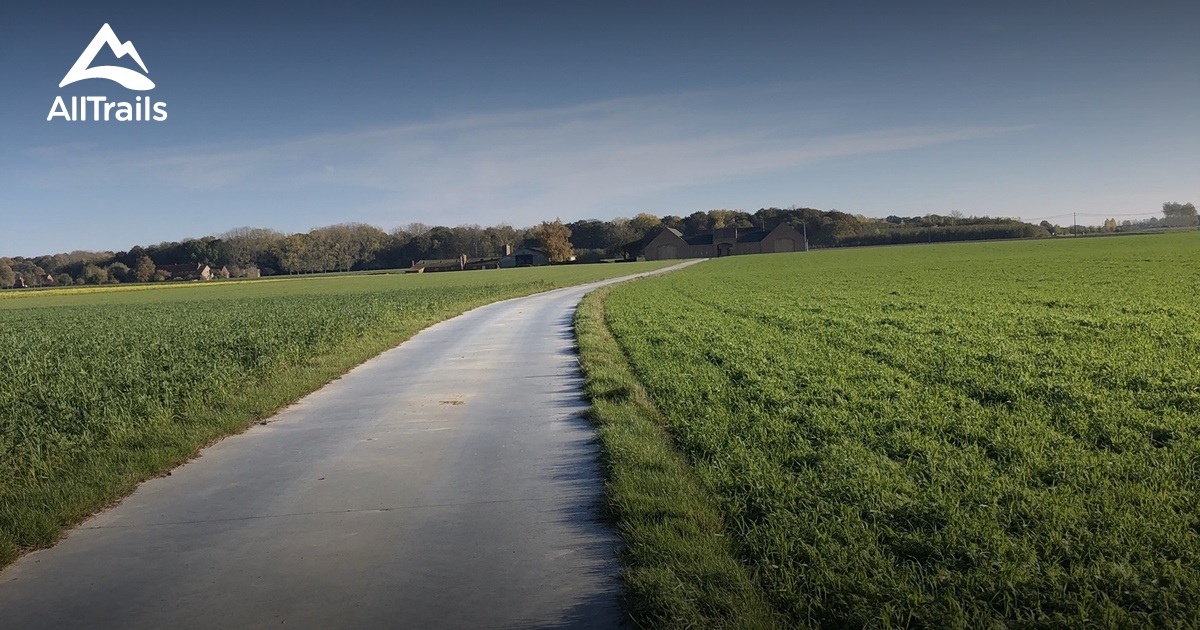 Best forest trails in Galgebossen | AllTrails