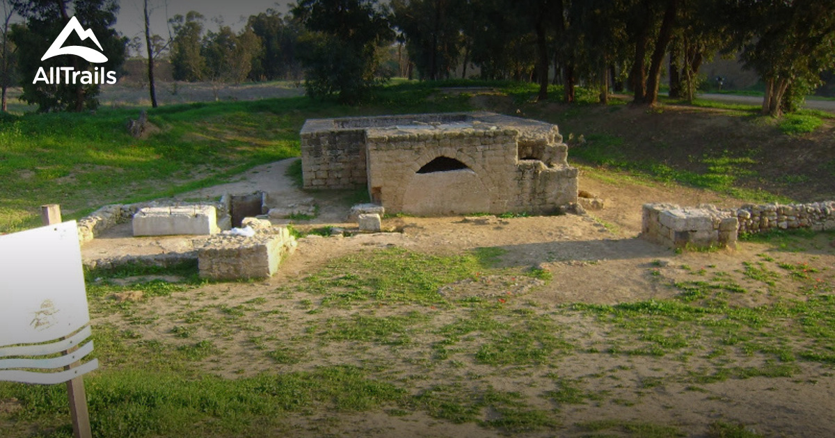 10 Best hikes and trails in Be'eri Forest | AllTrails