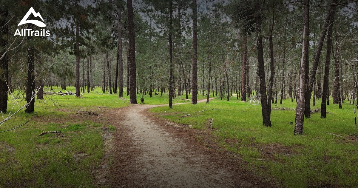 Best hikes and trails in Gnangara Pines | AllTrails