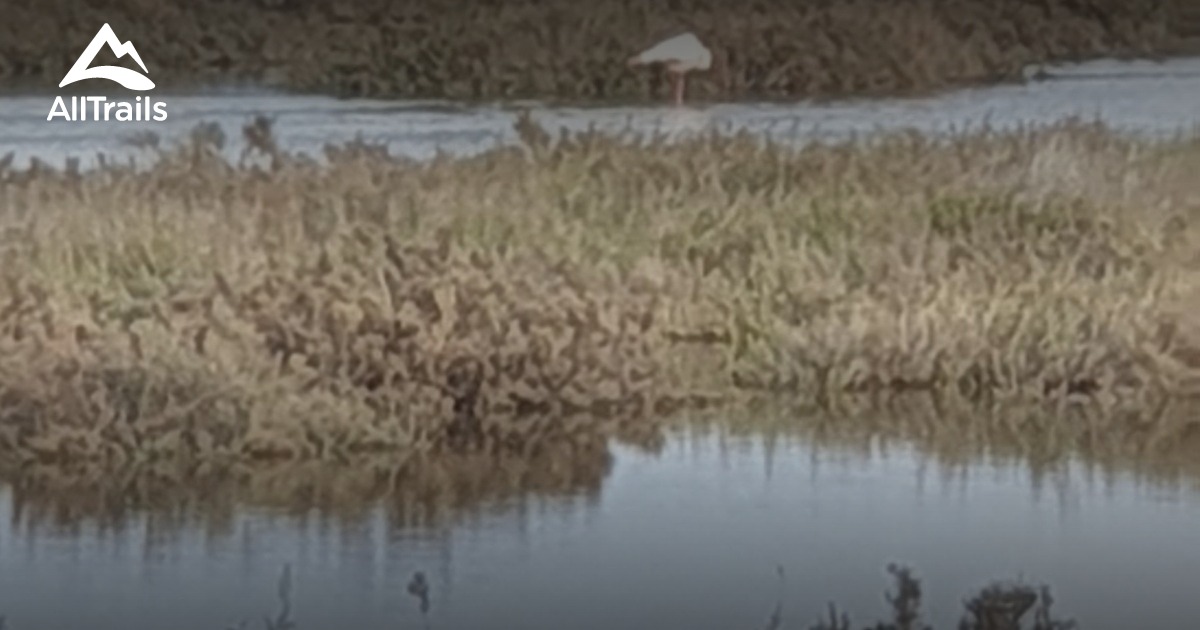 Best hikes and trails in Aliki (Aigio) | AllTrails