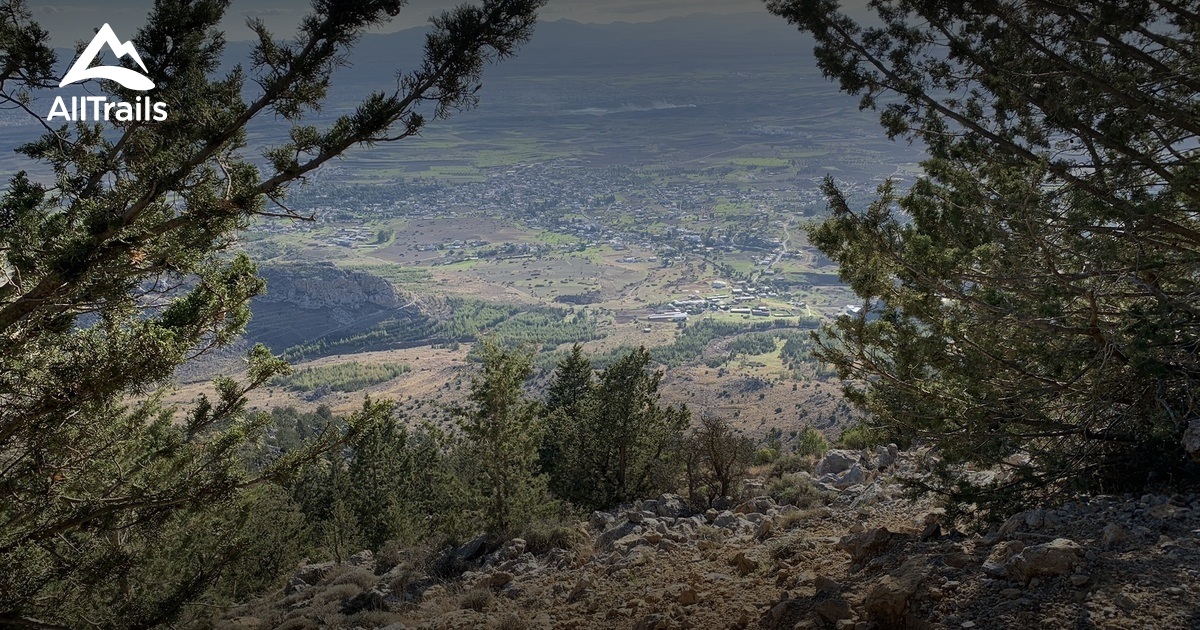 Best hikes and trails in Boğaz Piknik Alani | AllTrails