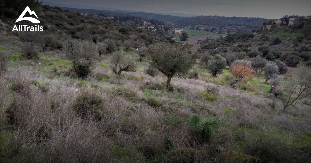Best hikes and trails in Yishai Forest | AllTrails
