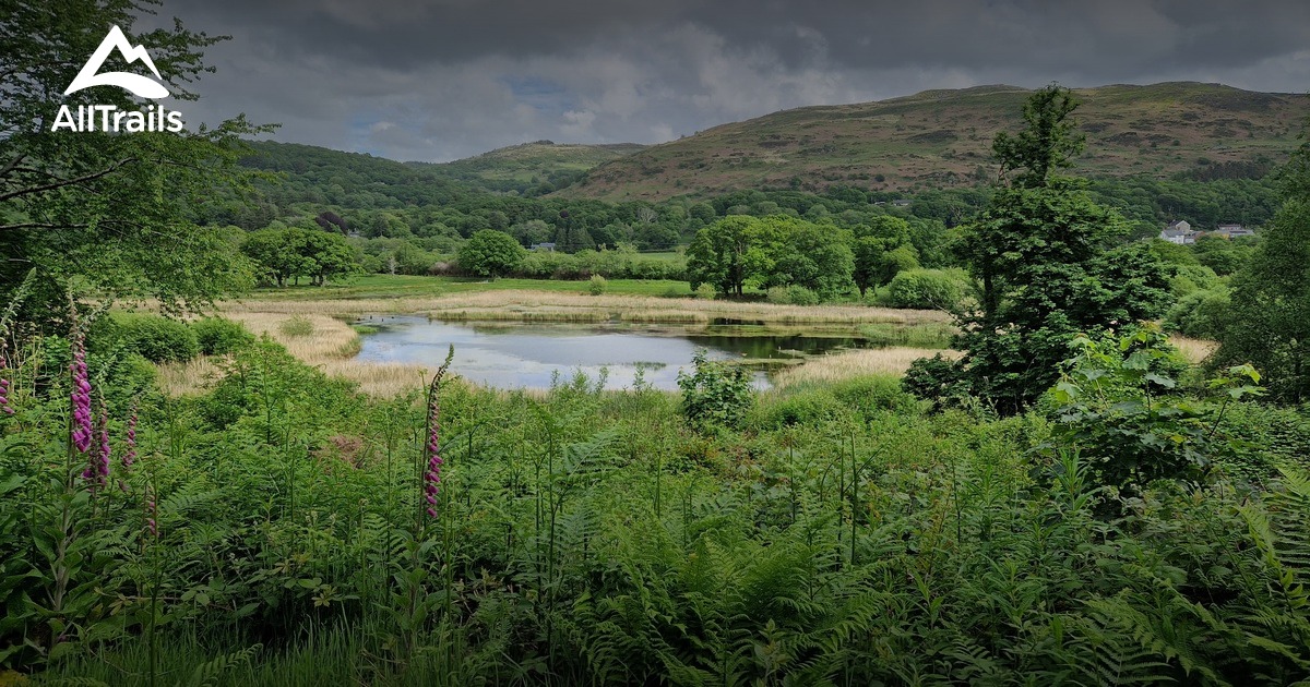 Best hikes and trails in RSPB Ynys-hir | AllTrails