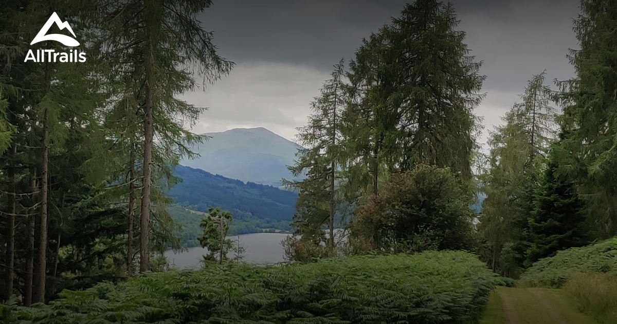 Best hikes and trails in Allean Forest | AllTrails