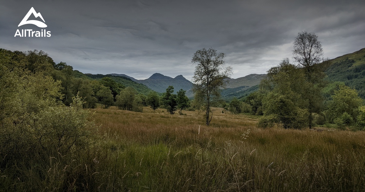 Best hikes and trails in Ariundle Oakwood National Nature Reserve ...