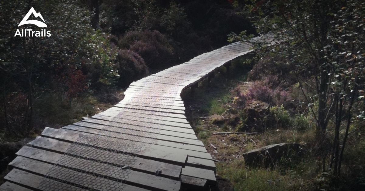 Best walking trails in Mabie Forest | AllTrails