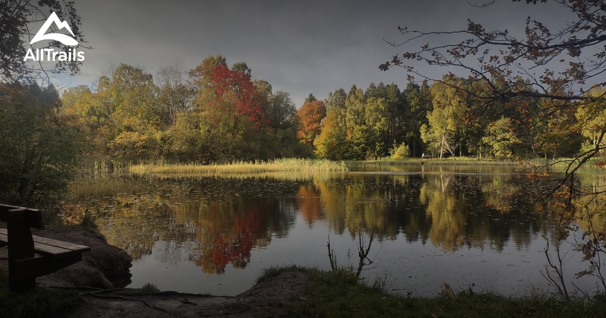 Best hikes and trails in Donadea Forest Park | AllTrails