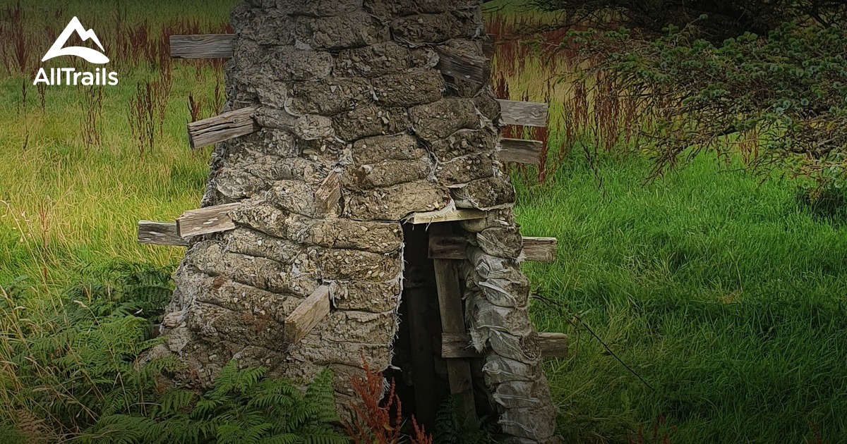 Castle Freke Woods: Die besten Routen zum Wandern | AllTrails