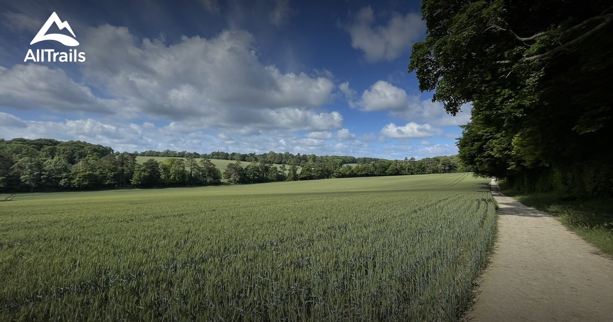 Best hikes and trails in Chipstead Downs SSSI | AllTrails