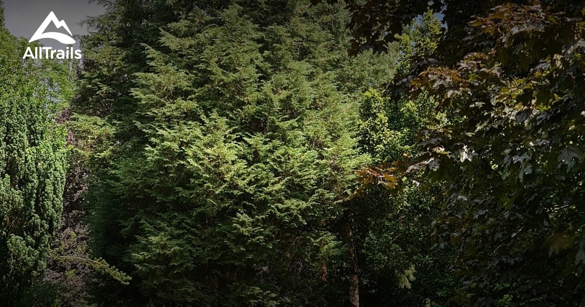 Best hikes and trails in Huckerby's Meadows Nature Reserve | AllTrails
