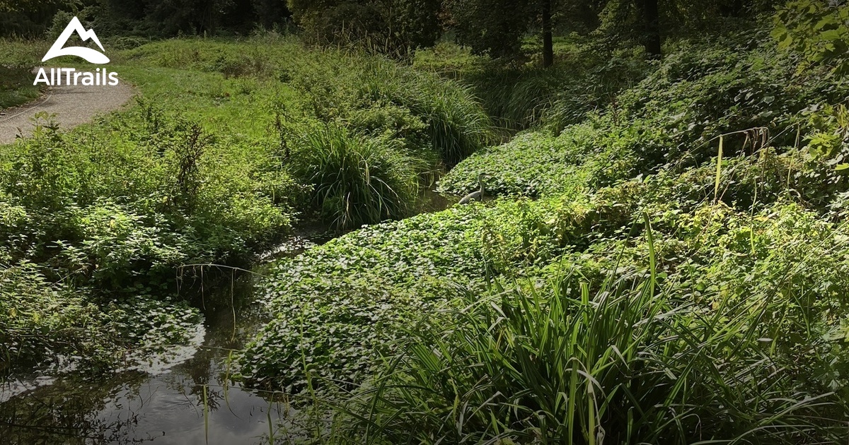 Best hikes and trails in Tooting Bec Common | AllTrails