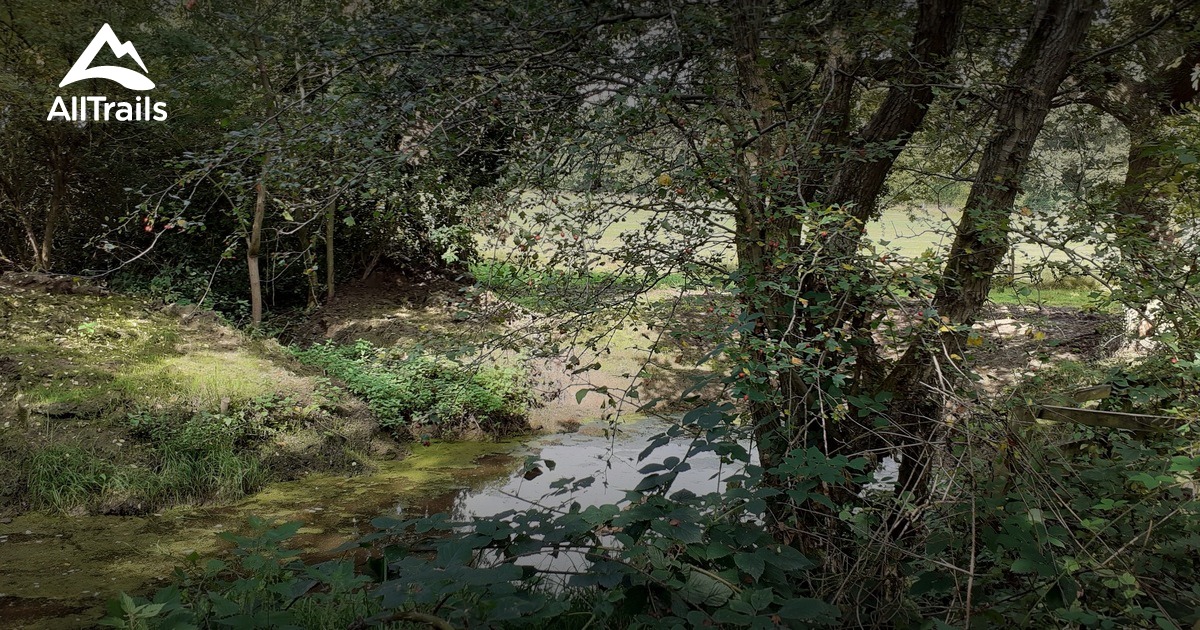 Best hikes and trails in Moat Mount Open Space | AllTrails