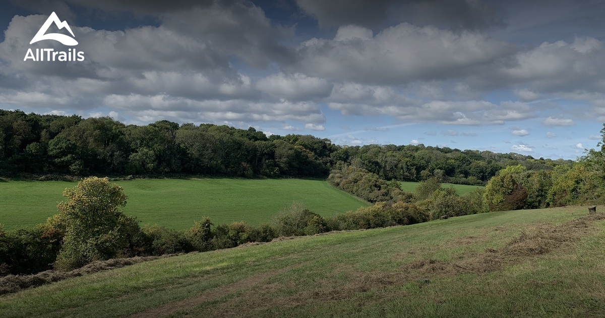 Best trails in Farthing Downs | AllTrails