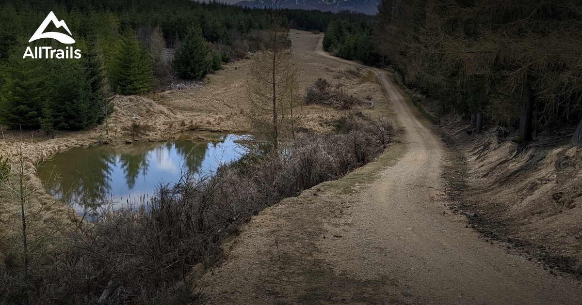 Best Hikes and Trails in Naseby Forest | AllTrails