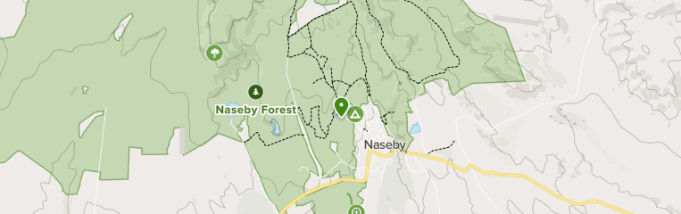 Best Hikes and Trails in Naseby Forest | AllTrails