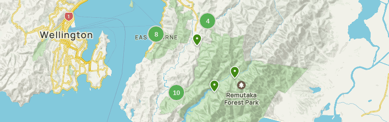 Best 10 Trails in Remutaka Forest Park | AllTrails