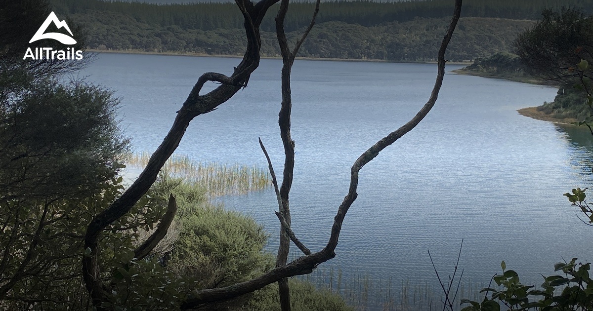 Best hikes and trails in Lake Rototoa Scenic Reserve | AllTrails