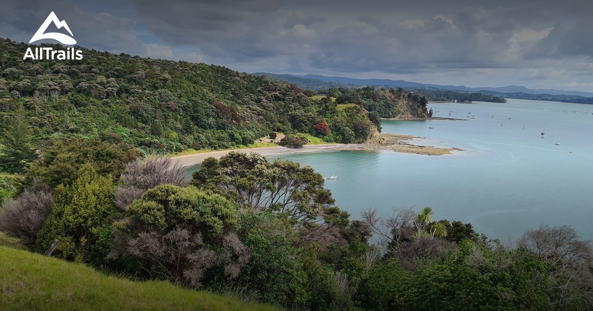 Best hikes and trails in Mahurangi Regional Park | AllTrails