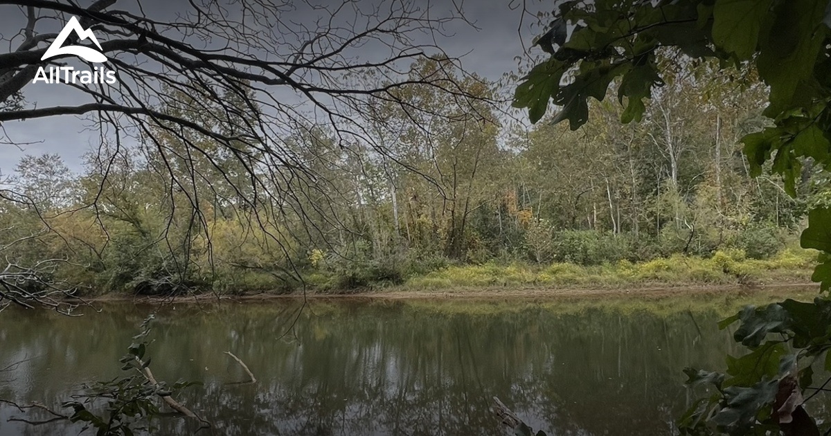 Best hikes and trails in Buckeye Cove Nature Preserve | AllTrails