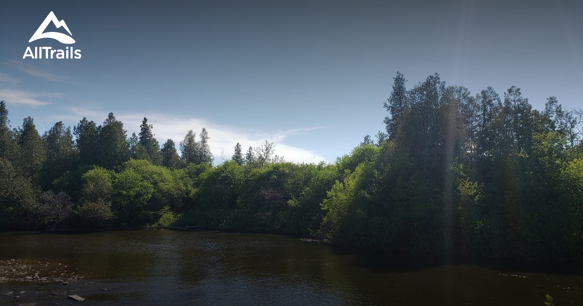 Best forest trails in Arkell Springs Hiking and Biking Trails | AllTrails