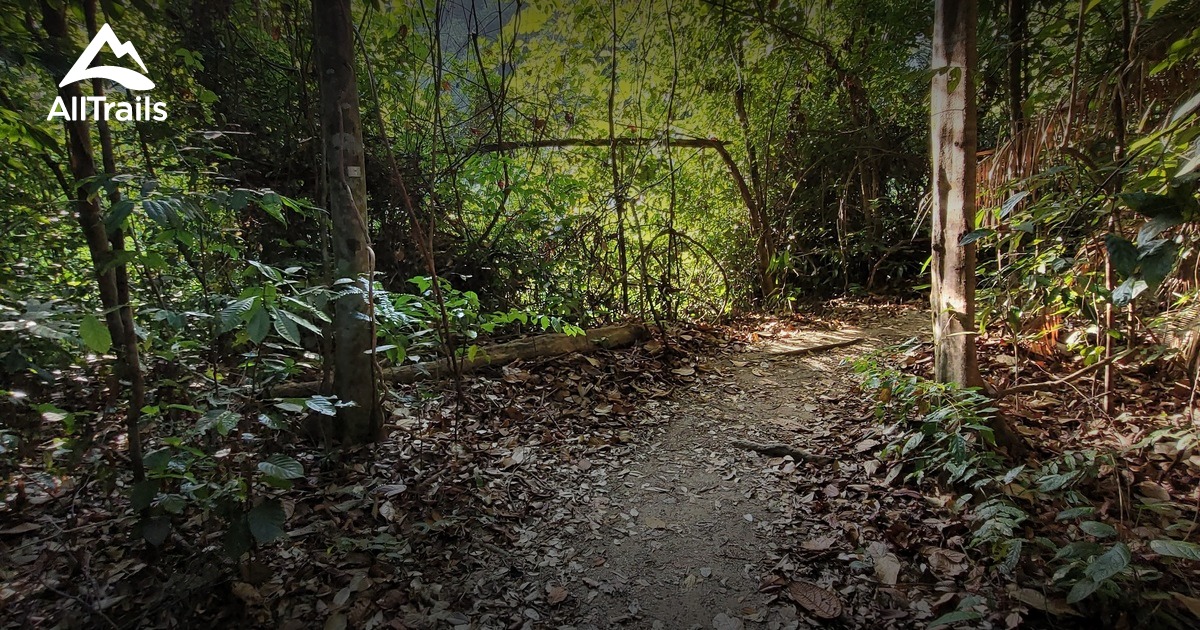 Best hikes and trails in Hutan Rizab Telok Murok | AllTrails