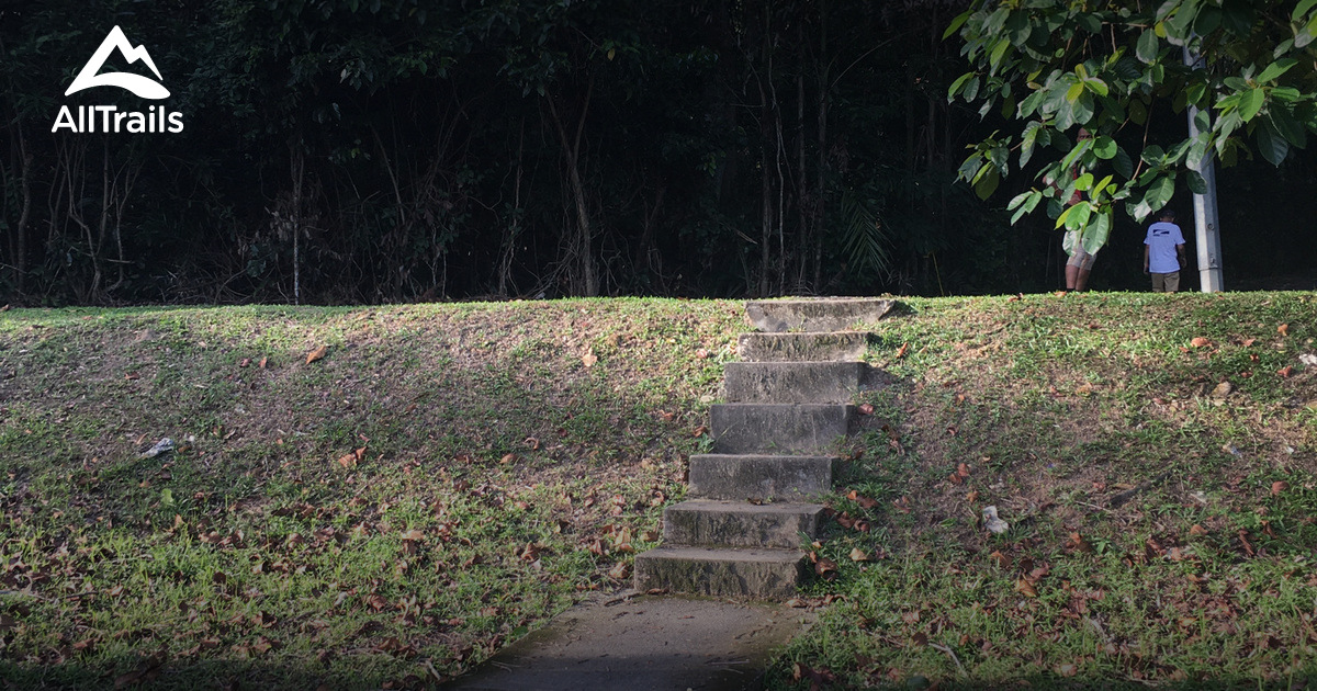 Best hikes and trails in Taman Rakyat | AllTrails