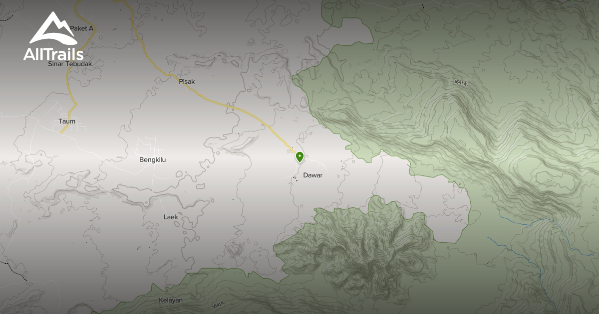 Best hikes and trails in Cagar Alam Gunung Nyiut | AllTrails
