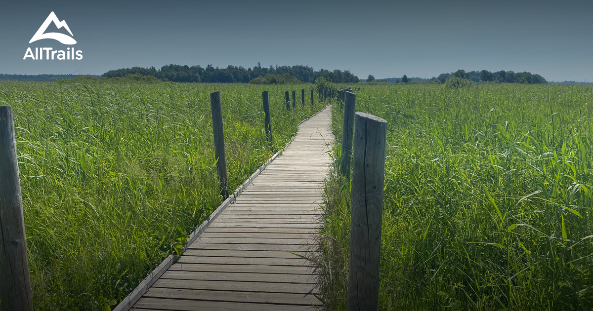 Best hikes and trails in Viikin-Vanhankaupunginlahti Nature Reserve ...