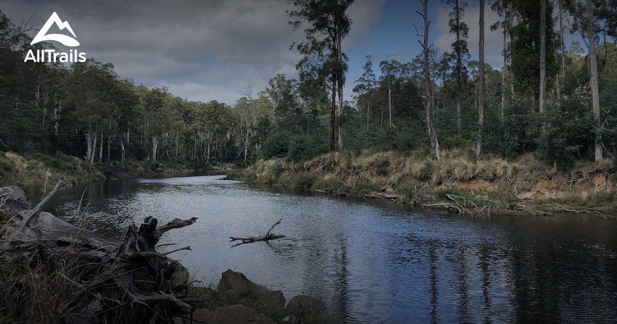 Best hikes and trails in China Bush Plantation | AllTrails