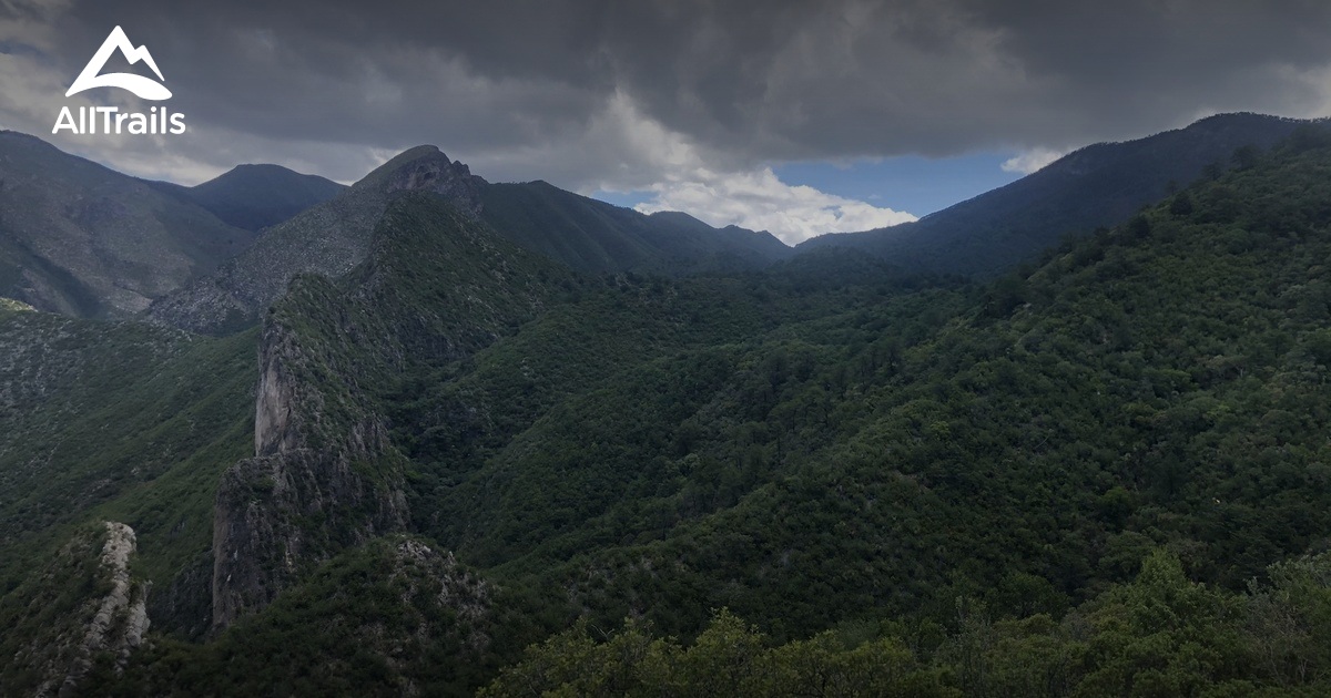 10 Best views trails in Sierra de Zaplinamé State Nature Reserve ...