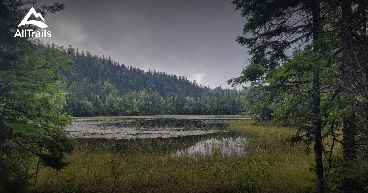 Best hikes and trails in Mørkgonga Nature Reserve | AllTrails