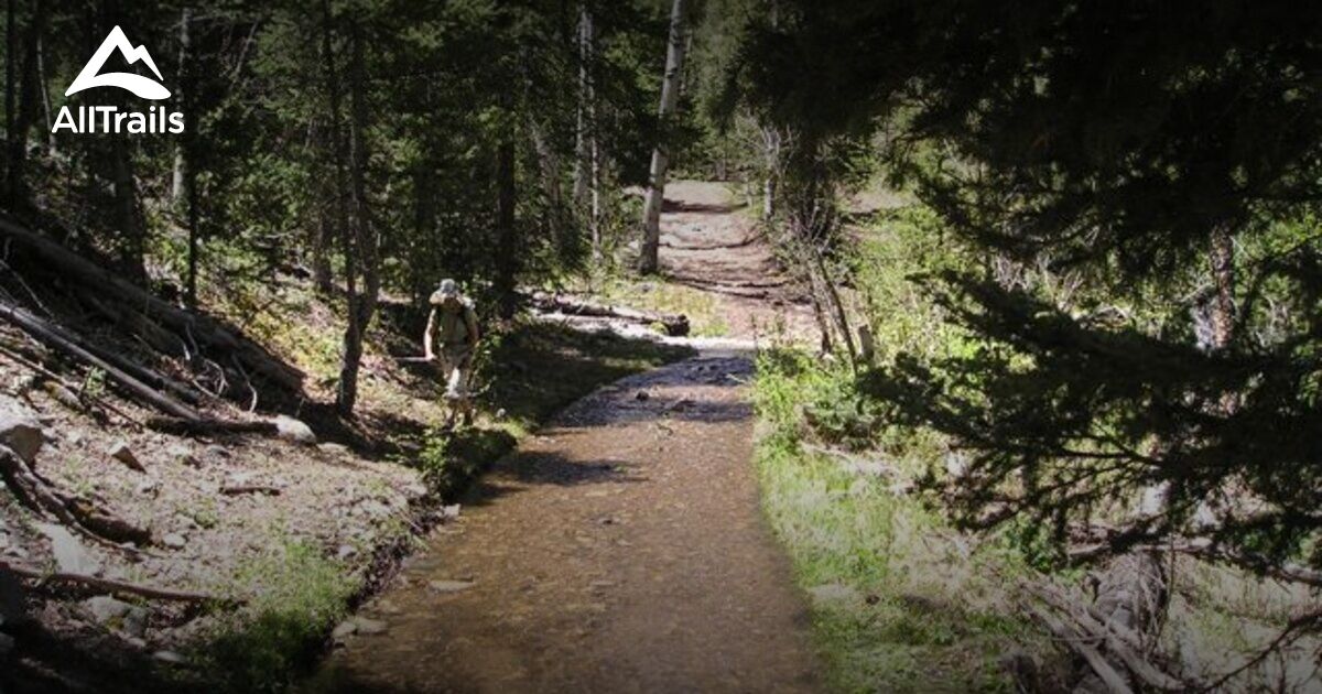 Best Hikes and Trails in Rio Grande National Forest, Saguache Ranger ...