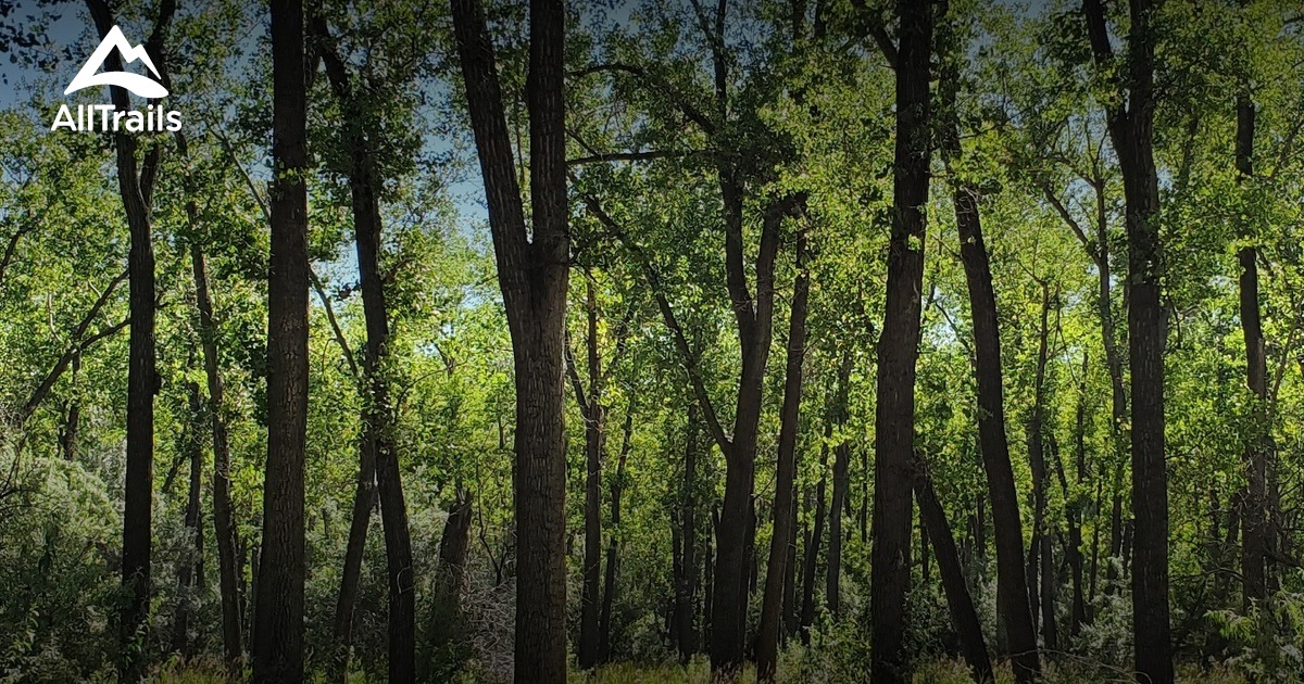 Best hikes and trails in Atkinson Nature Park | AllTrails
