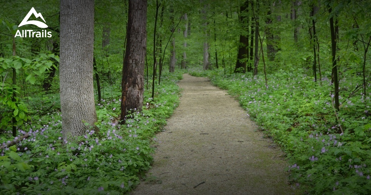 Best hikes and trails in LaGrange County Nature Preserve | AllTrails