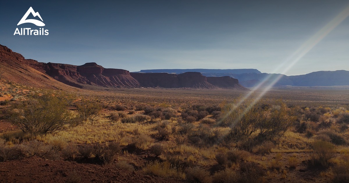 10 Best hikes and trails in Sand Mountain OHV Area | AllTrails