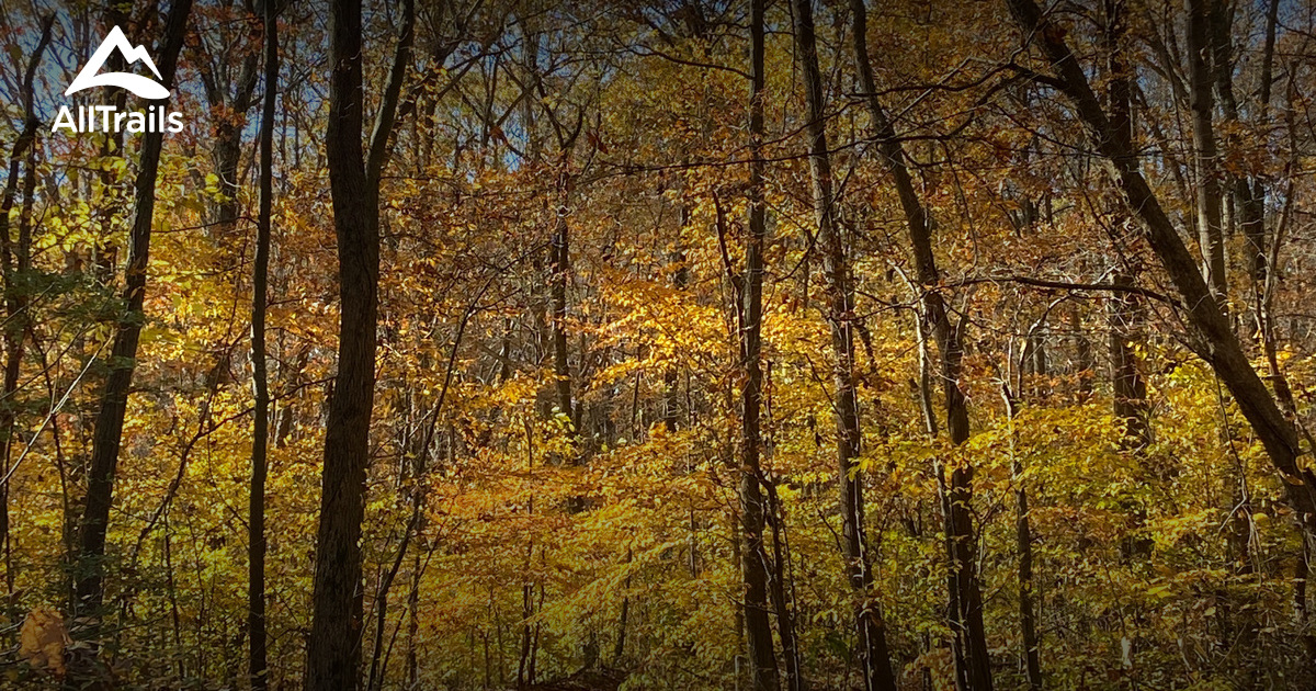 General Watkins Conservation Area: Die besten Routen zum Wandern ...