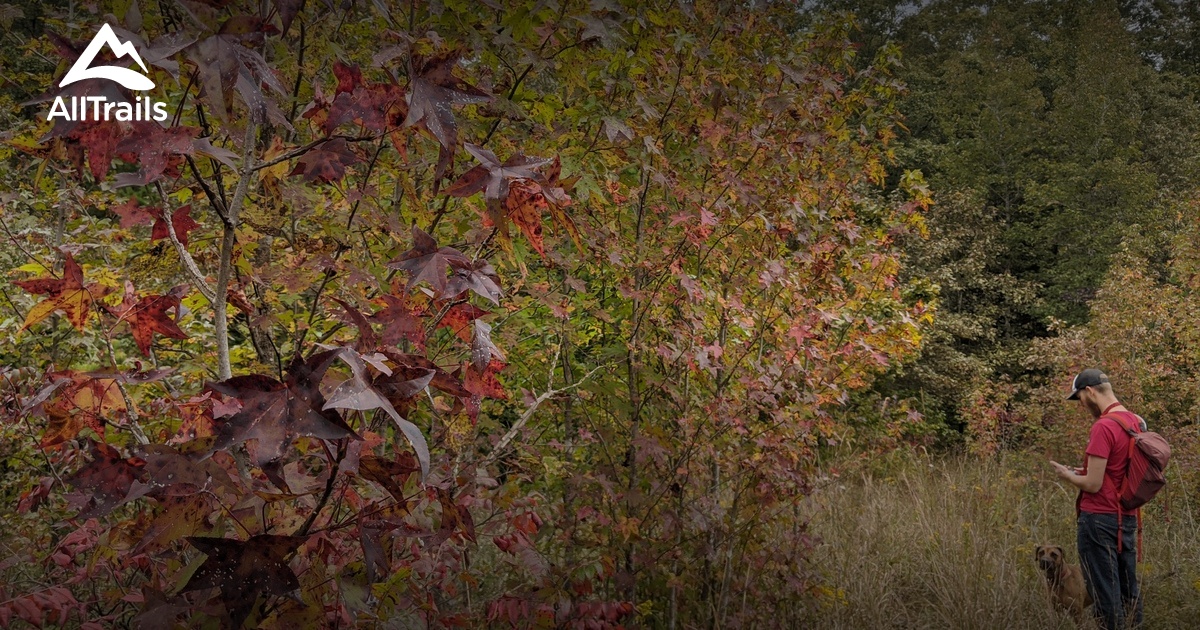 Best hikes and trails in University Forest Conservation Area | AllTrails