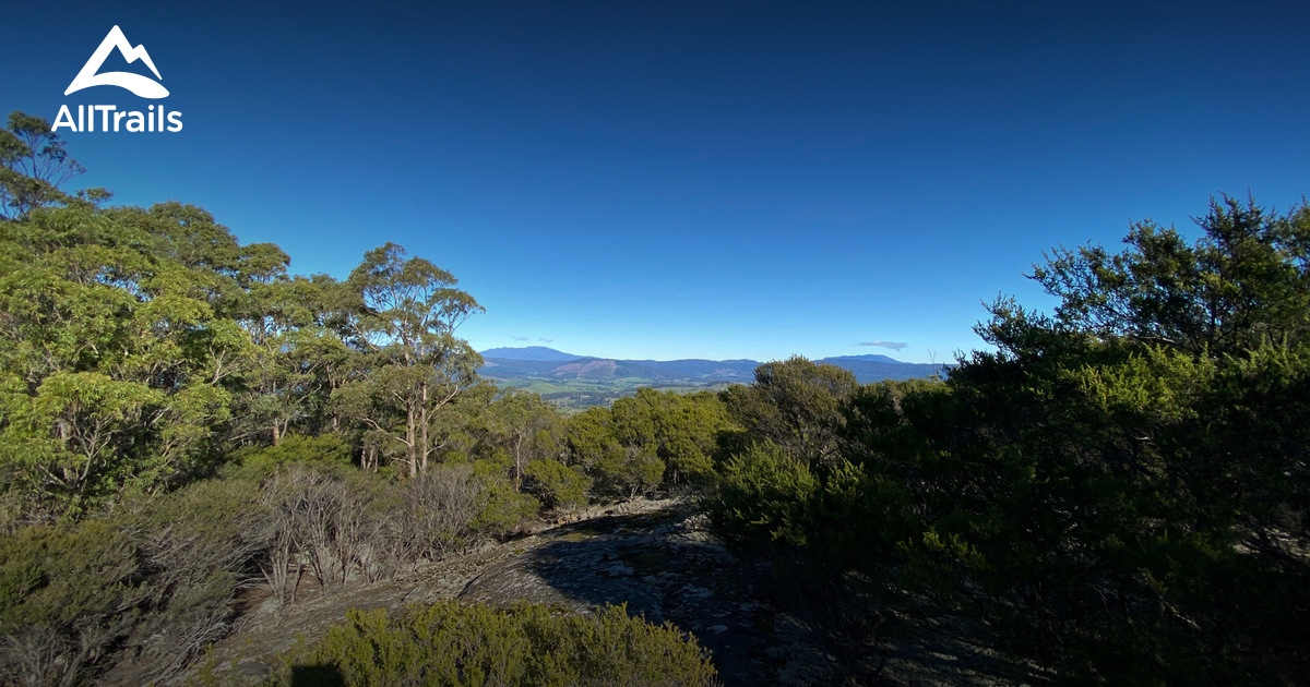 Best hikes and trails in Mount Stronach Regional Reserve | AllTrails