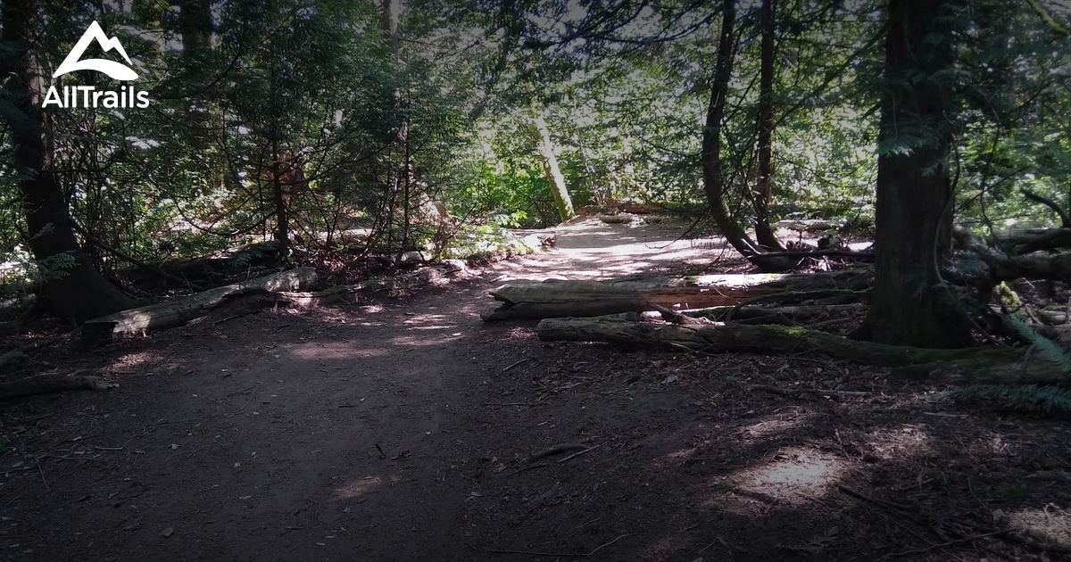 Best hikes and trails in Hi-Knoll Park | AllTrails